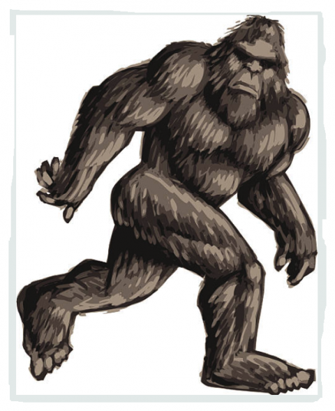 ABOUT | Bigfoot in New Hampshire