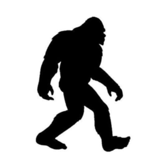 Bigfoot in New Hampshire | Sightings and Encounters - The Search Continues